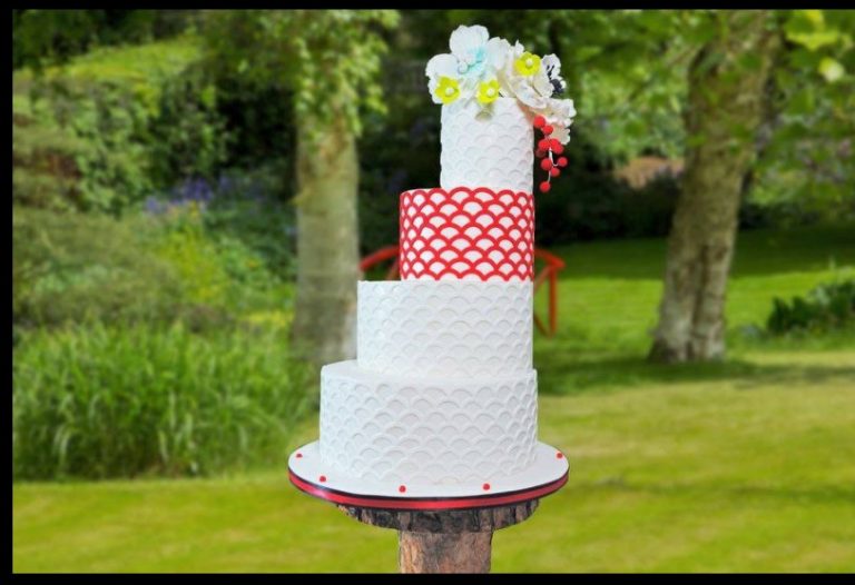 Cake Stackers Review: Easier And Faster To Make The Cakes